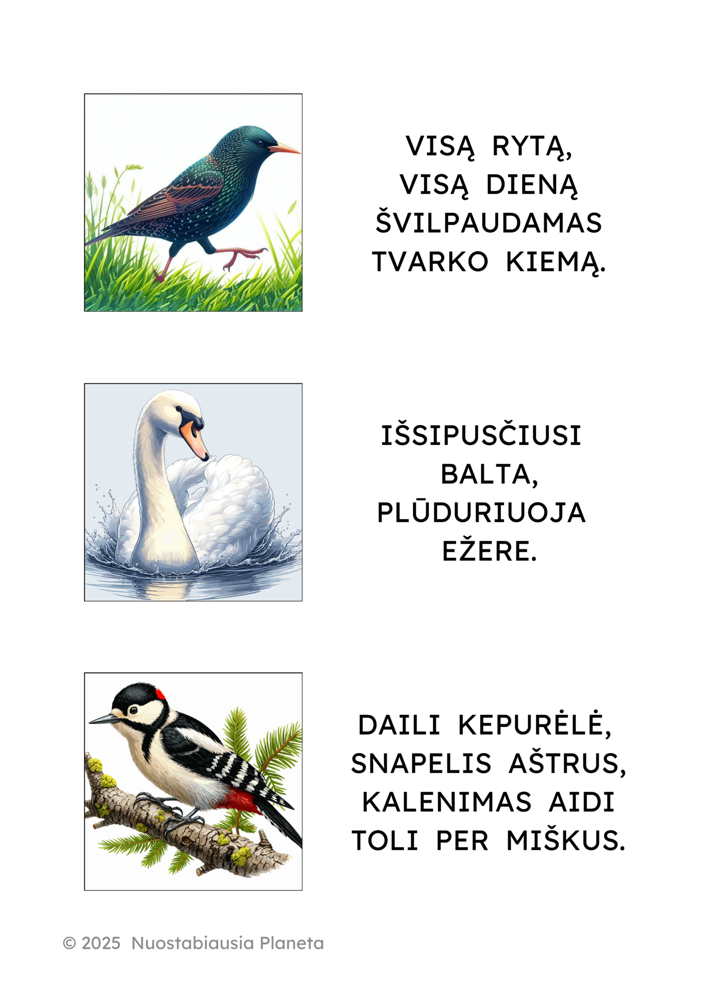 Eiliuotos mįslės apie Lietuvos paukščius - Nuostabiausia planeta